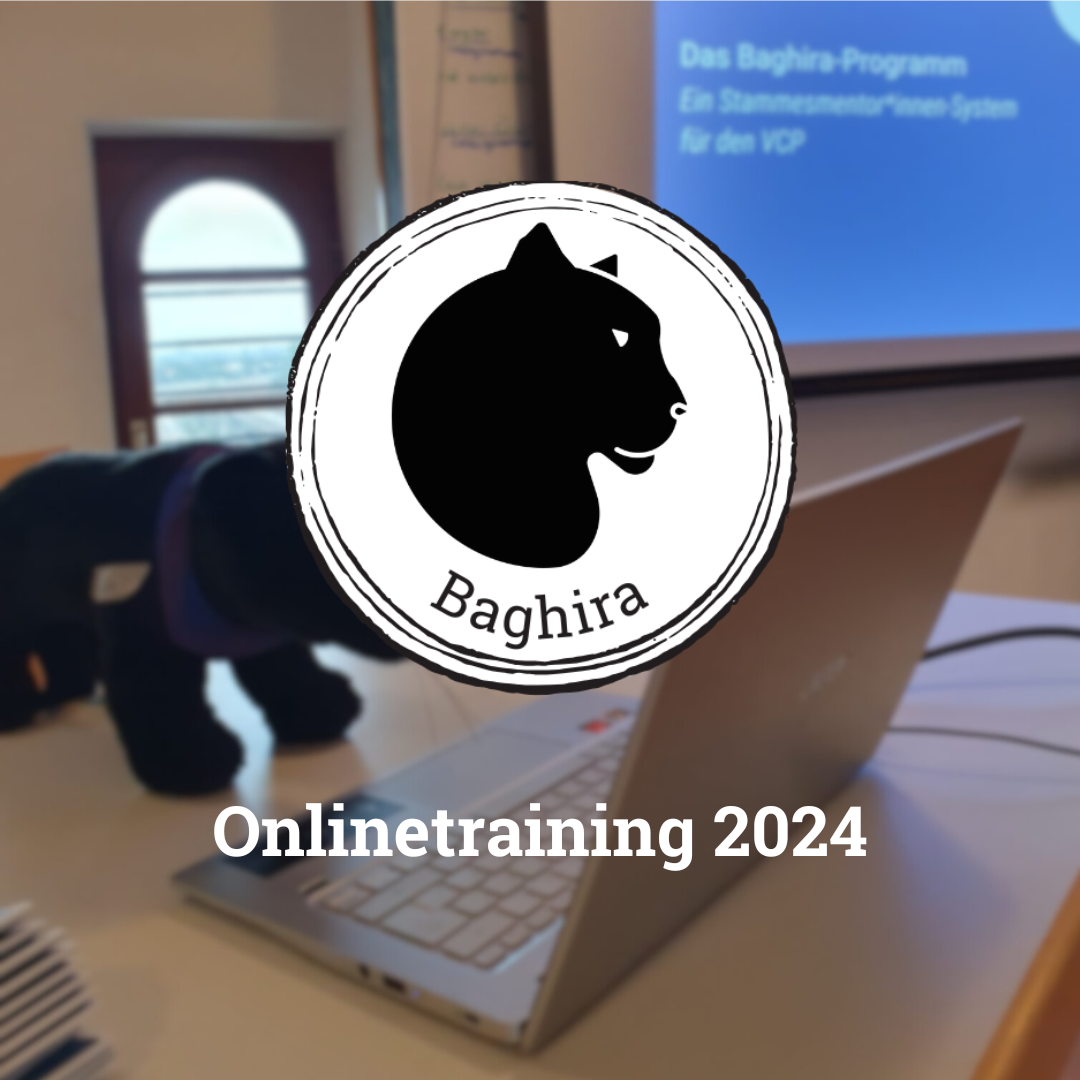 Baghira-Onlinetraining 2024 - VCP-Blog